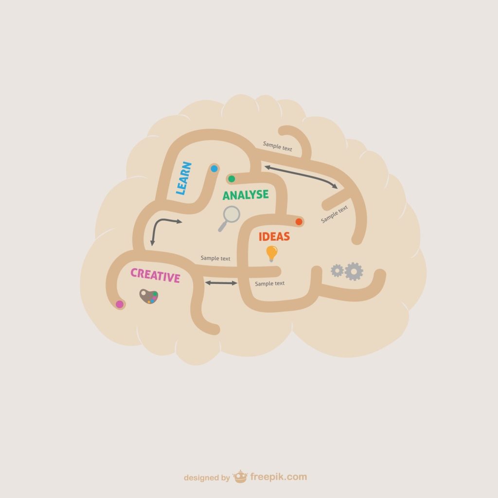 Business brain Free Vector